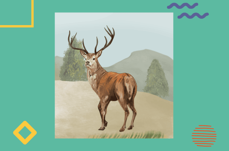 13 types of Illustration and the best kind to use for websites ...